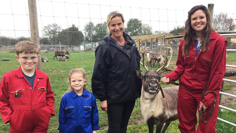 CBeebies - Ferne and Rory's Vet Tales, Series 1 - Episode guide