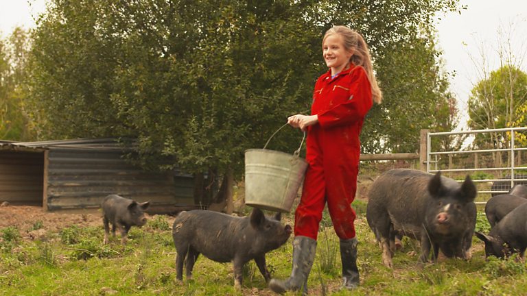 CBeebies - Ferne and Rory's Vet Tales, Series 1 - Episode guide