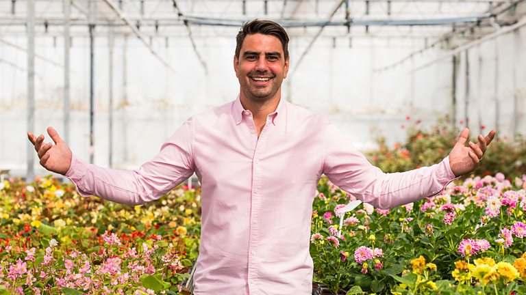 BBC Two - Britain in Bloom