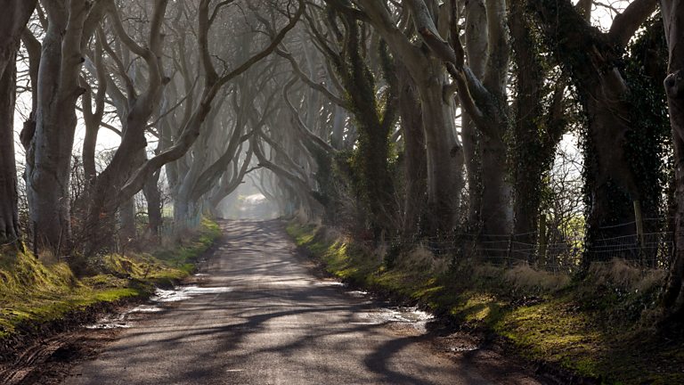 BBC Radio 4 - Radio 4 in Four - 15 wild words to describe the natural world