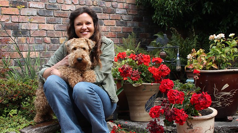 CBeebies - Ferne and Rory's Vet Tales - Episode guide