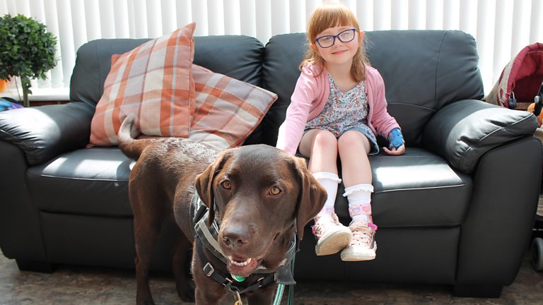 CBeebies - Ferne and Rory's Vet Tales - Episode guide