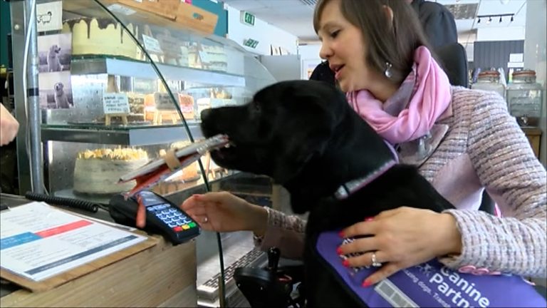 BBC Scotland - BBC Scotland - The microchip implant that turns you into ...