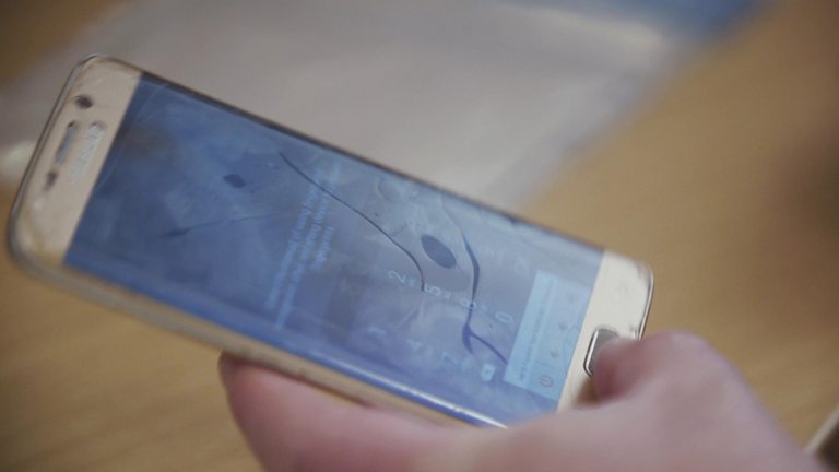 BBC Two - Forensics: The Real CSI