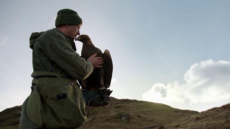 BBC Two - Natural World