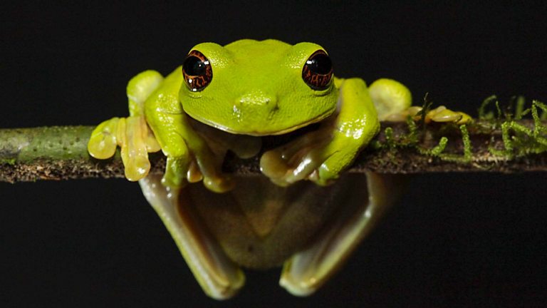 BBC One - Lost Land of the Volcano