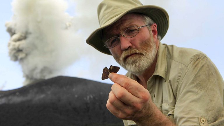 BBC One - Lost Land of the Volcano, Episode 3, Megapode birds