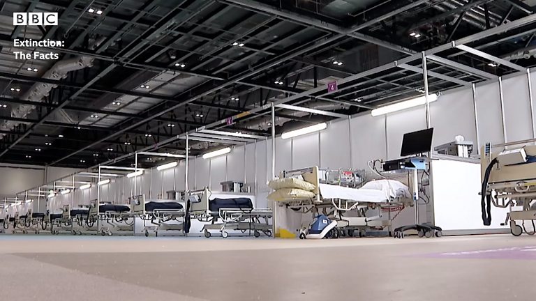 BBC One - Extinction: The Facts