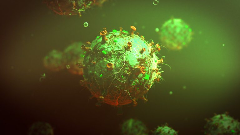 BBC - Videos: The coronavirus pandemic