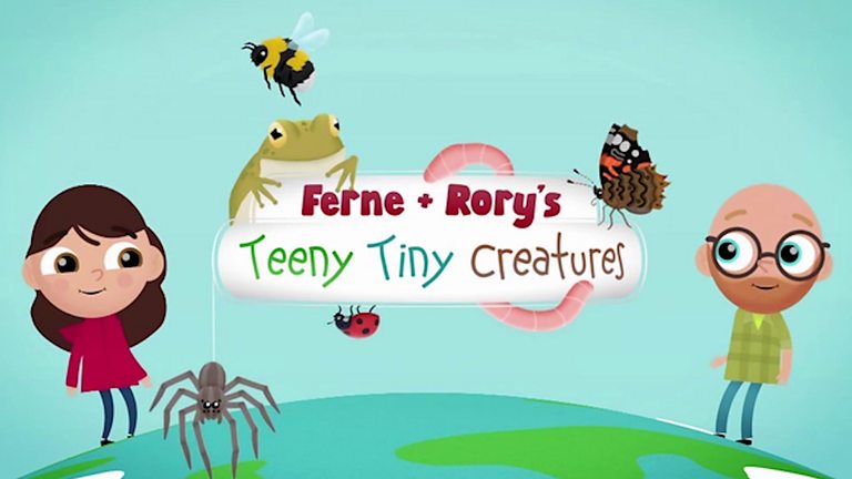 CBeebies - Teeny Tiny Creatures