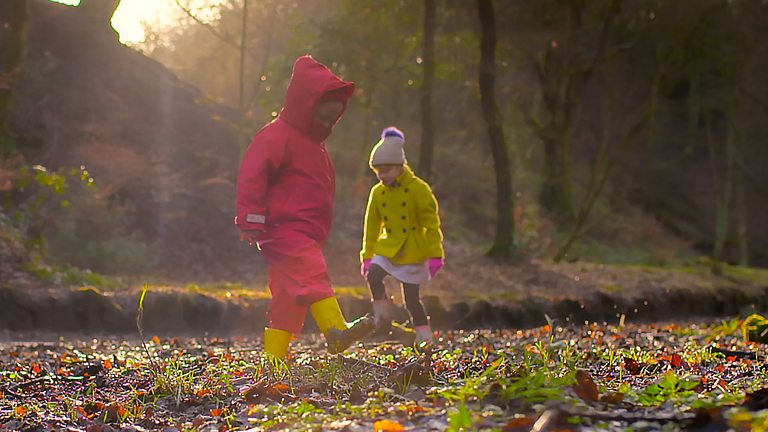 CBeebies - Daydreams - Available now