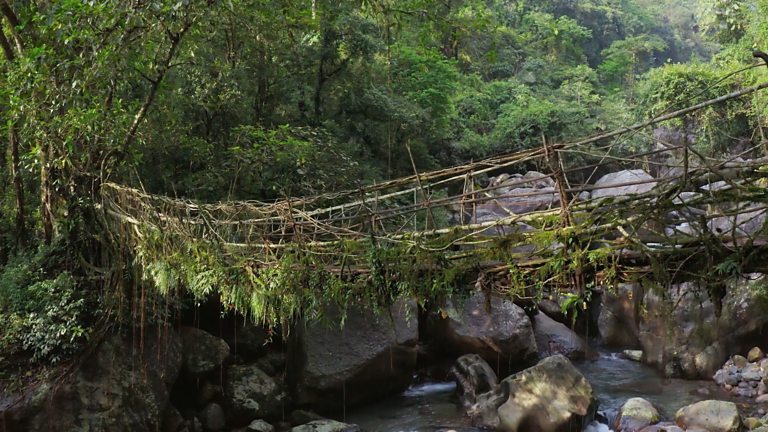 BBC One - The Green Planet