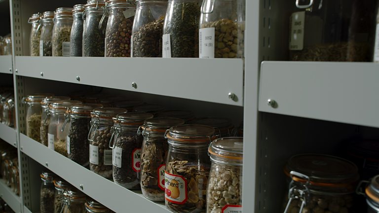 BBC One - The Green Planet