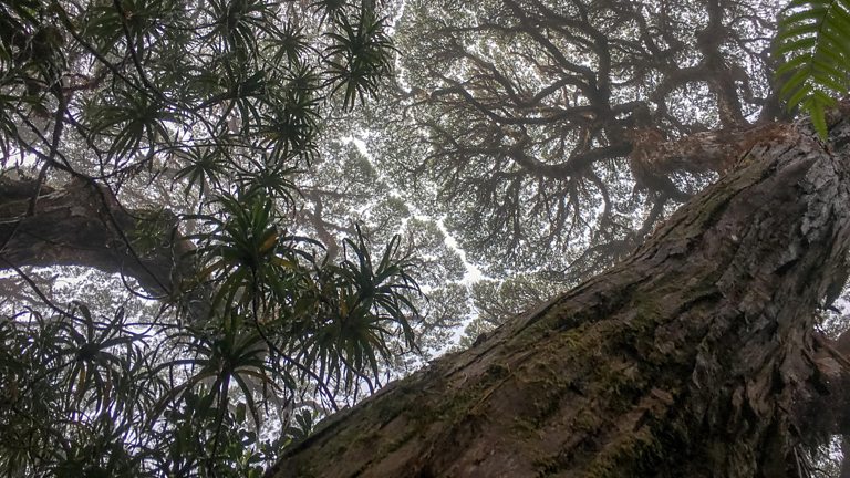 BBC World Service - Science In Action