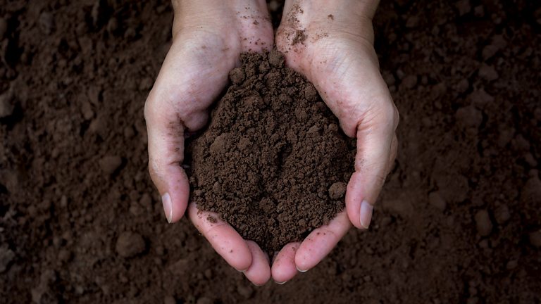 BBC Radio 4 - The Life Scientific