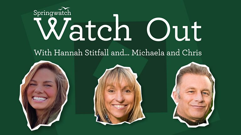 BBC Two - Springwatch, 2022, Highlights from three weeks of Watch Out