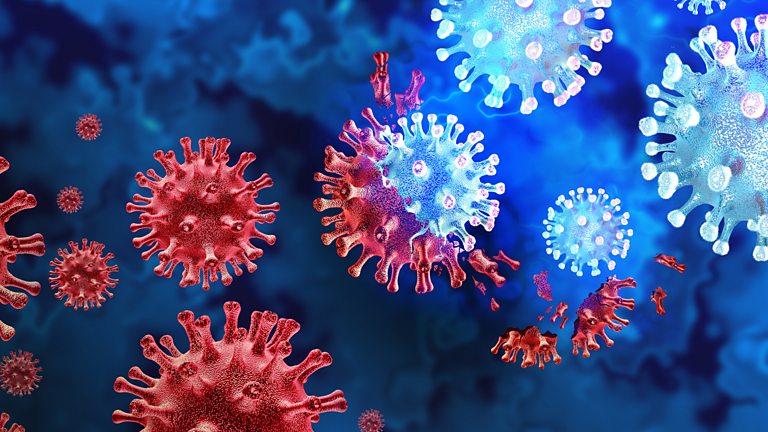 BBC World Service - Health Check