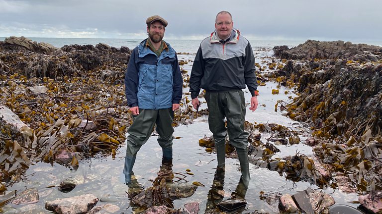 BBC One - Strawbridge over the Drawbridge