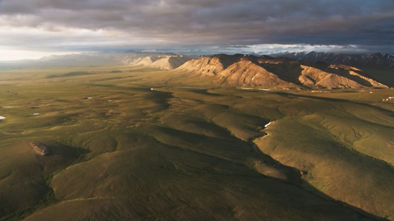 BBC One - Frozen Planet II