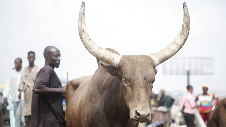 BBC World Service - Newsday, Madaya: 'Families come to die of hunger ...