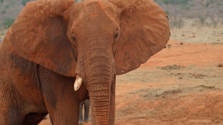 BBC One - Our Changing Planet, Series 2