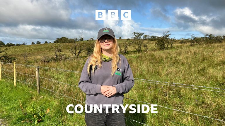 BBC Radio Ulster - Countryside