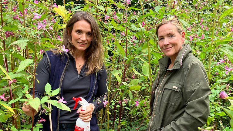 BBC Scotland - Landward - Available now