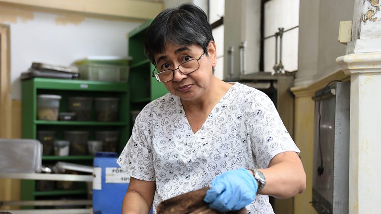 BBC World Service - The Documentary Podcast - Downloads