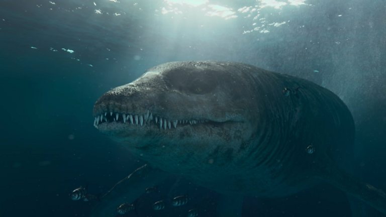 BBC One - Attenborough and the Giant Sea Monster