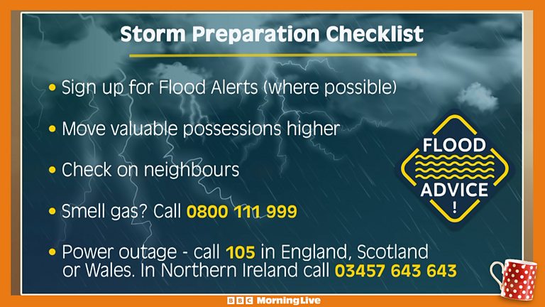 BBC One - Morning Live - Matt Allwright