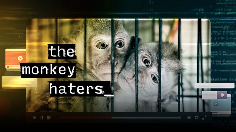 BBC News - Eye Investigations - Available now