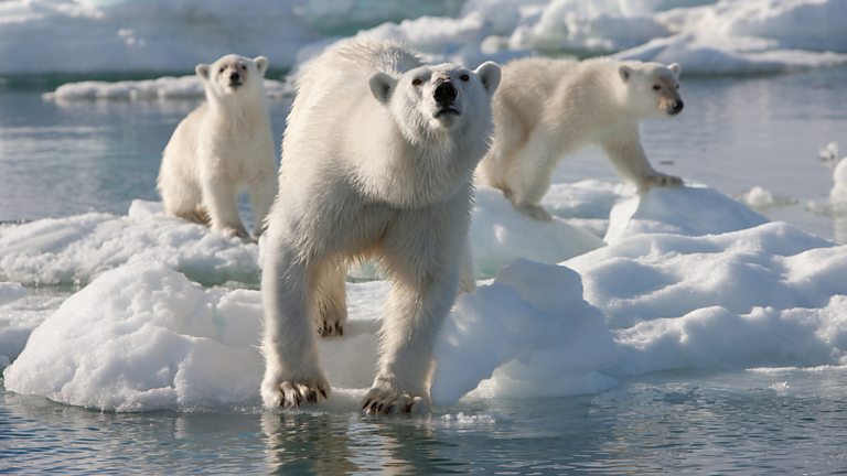 BBC One - Frozen Planet - Episode guide