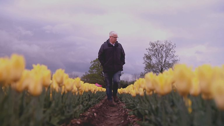 BBC One - The One Show