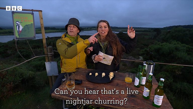 BBC Two - Springwatch