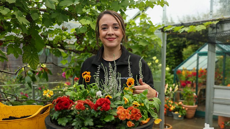 BBC Scotland - Beechgrove Garden, 2024 - Episode guide