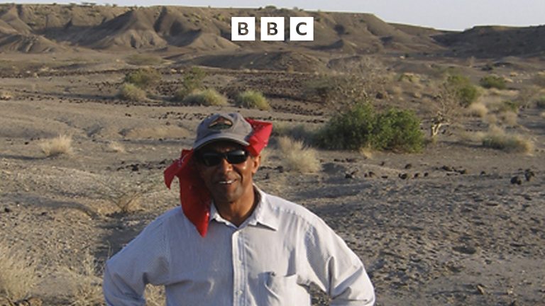 BBC World Service - Witness History, Ardi: The oldest skeleton of a human ancestor, Ardi ...