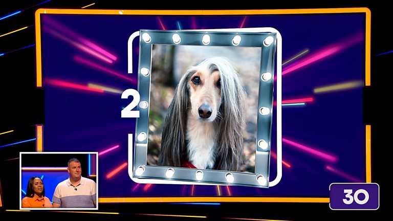 BBC One - Alan Carr's Picture Slam, Series 2, Episode 1