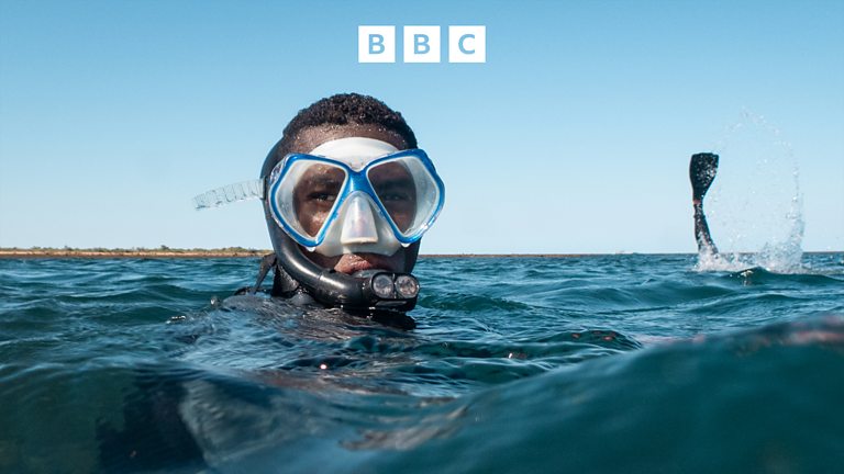 BBC World Service - People Fixing The World - Available now