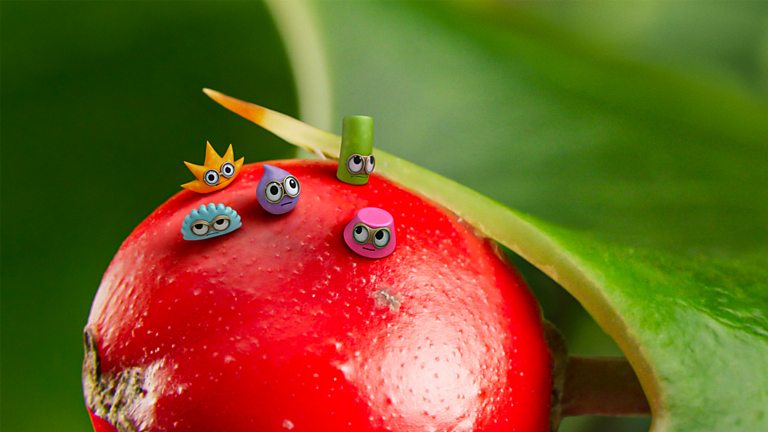 CBeebies - Tiny Wonders