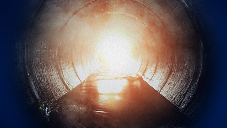 BBC One - Panorama - Available now