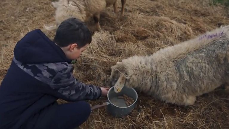 BBC Two - This Farming Life