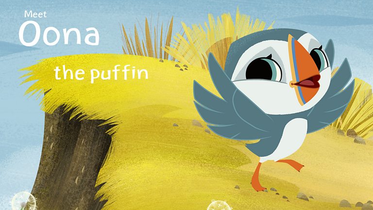 Puffin Rock - CBeebies - BBC