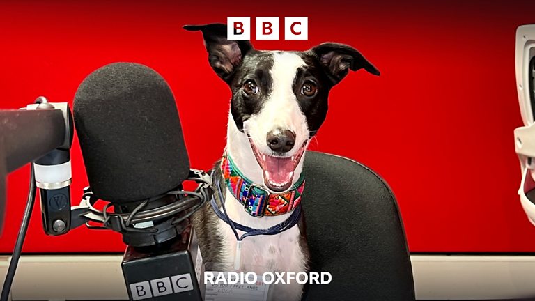 BBC Radio Oxford - Adam Ball