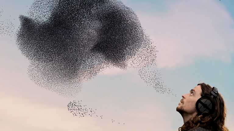 BBC Four - Birdsong, Ireland's Largest Starling Murmuration