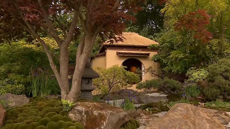 BBC Two - RHS Chelsea Flower Show, 2025