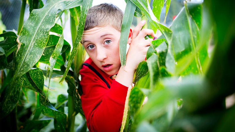 CBBC - Little Lunch, Series 1 - Episode guide