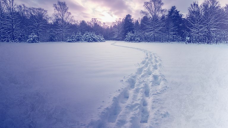 BBC Four - Winter Walks
