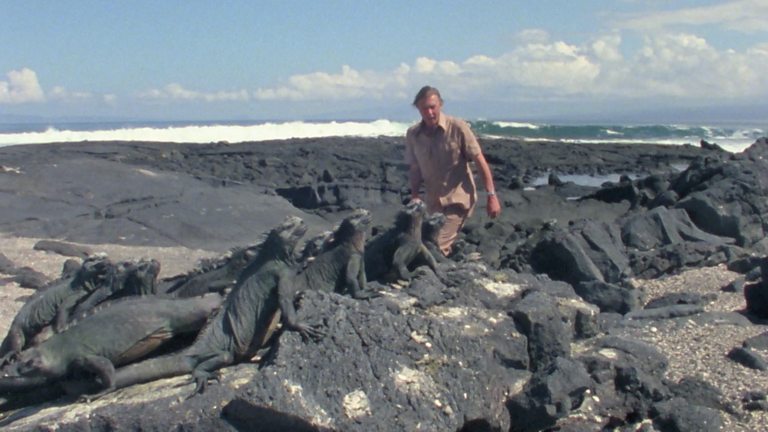 BBC One - Making Life on Earth: Attenborough's Greatest Adventure