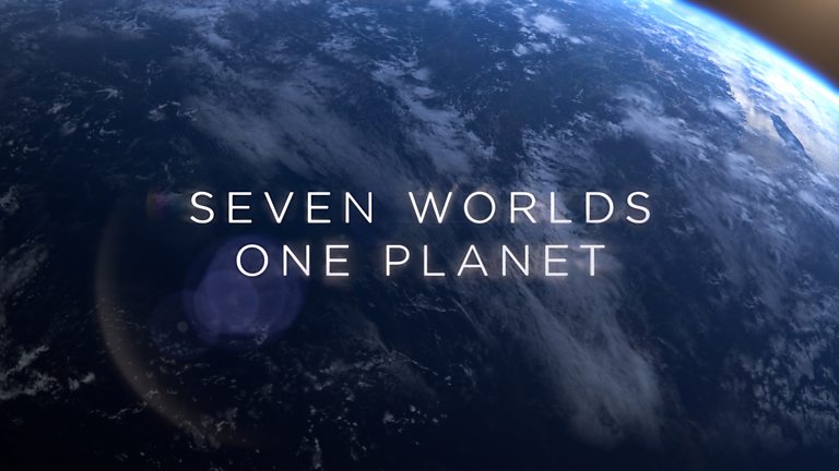 BBC One - Seven Worlds, One Planet, Series 1, Antarctica, Humpbacks ...