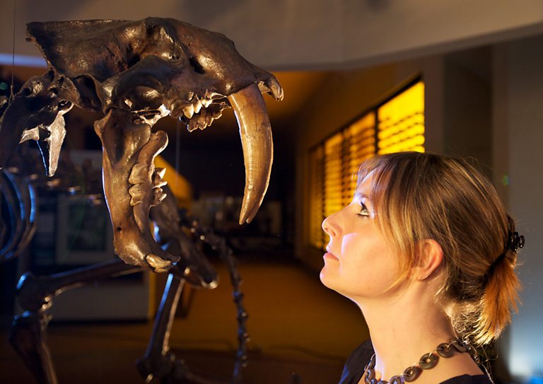 BBC Two - Ice Age Giants - Dr Alice Roberts